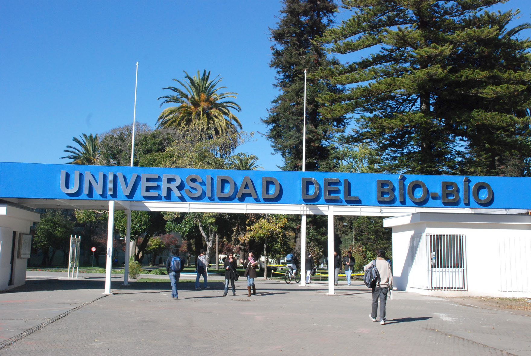 Con 6 años de acreditación, Trabajo Social de la UBB es primera en la ...