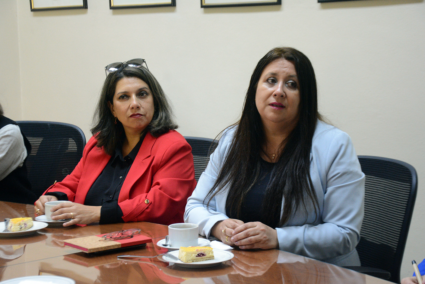 DSC_9622 - Portal de Actualidad Universidad del Bío-Bío