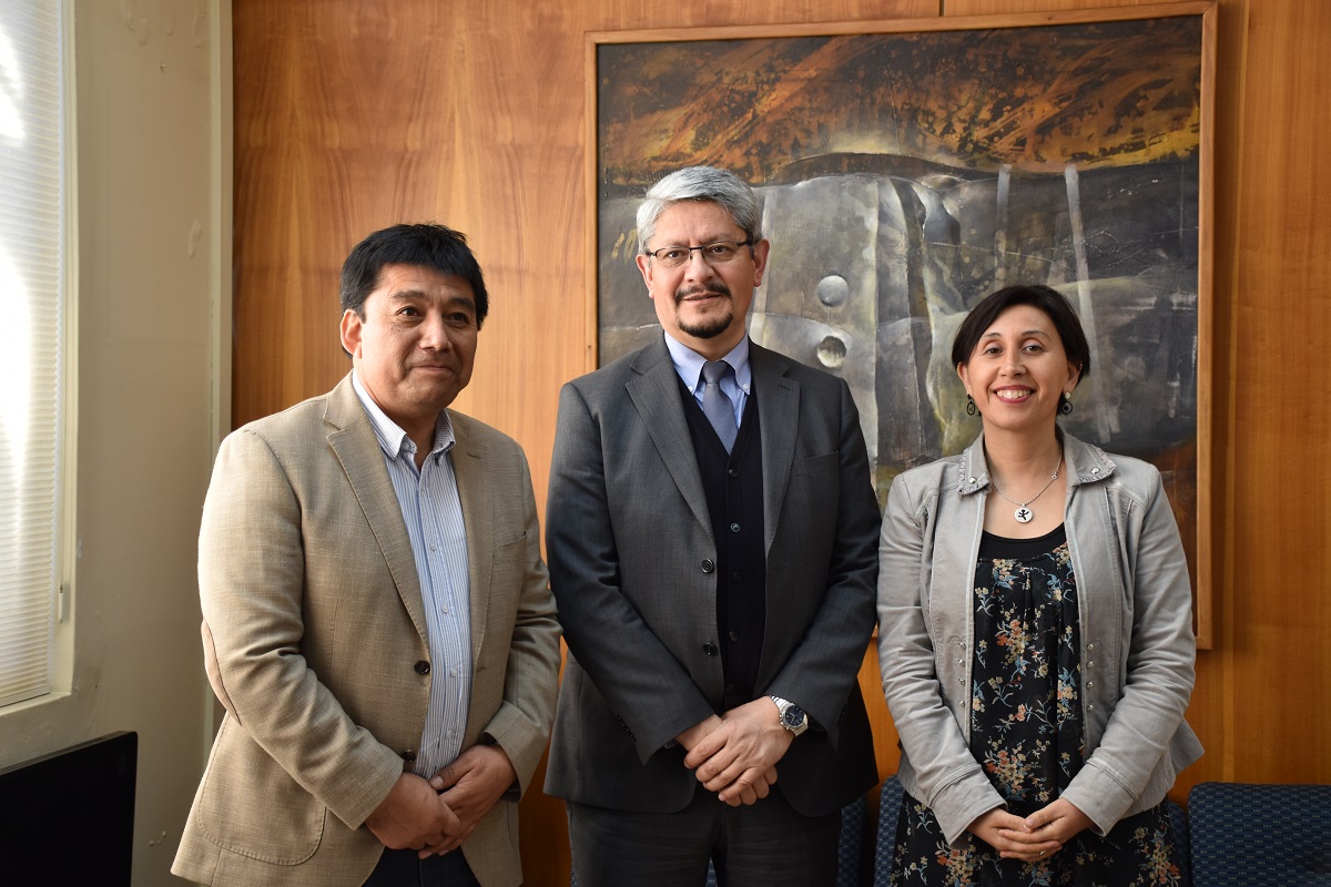 Rector recibió saludos de actores externos y de la comunidad UBB ...