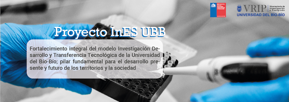 UBB adjudica proyecto InES del Ministerio de Ciencia y consolida su ...